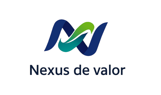 NEXUS DE VALOR CONSULTING - Portfolio